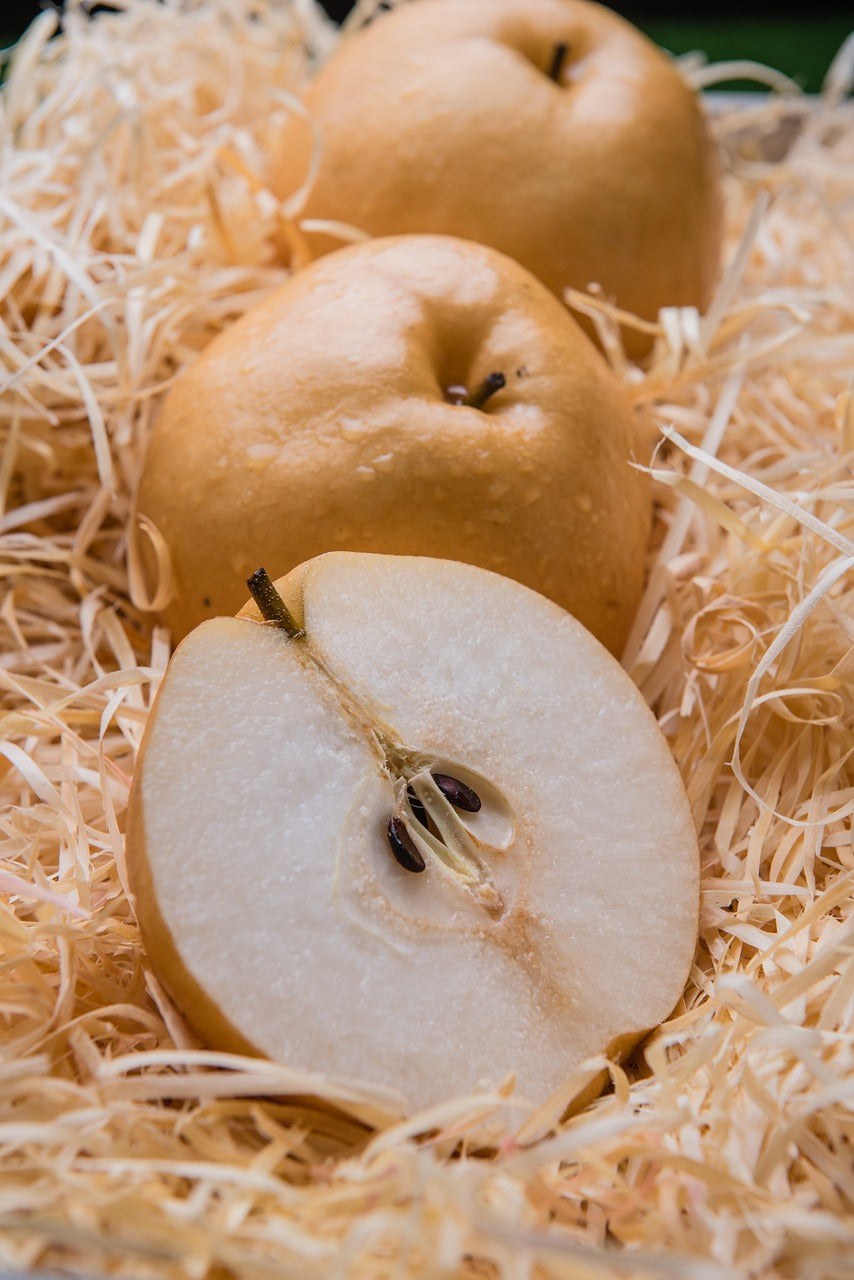 Nashi “Benita” (hybride Pyrus) – poire japonaise | Pépinière Plume